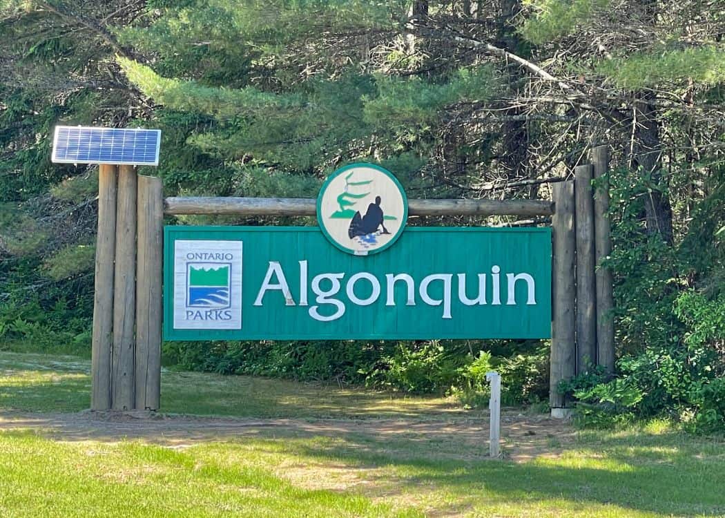 Algonquin: Pog Lake Camping Review & Guide