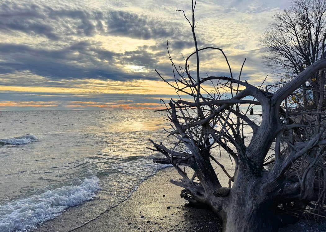 Rondeau Provincial Park Review & Campground Guide