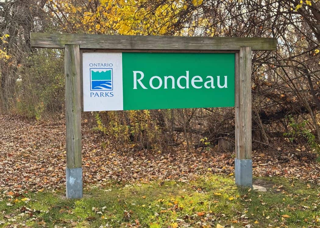 Rondeau Provincial Park Review & Campground Guide